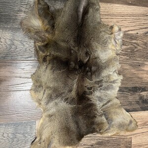 Giant Horse Skin Hide Real Natural Area Rug Living Room - Etsy