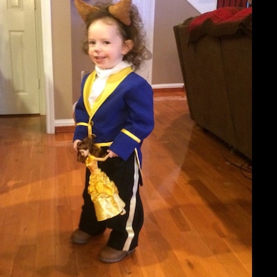Beast Costume From Disney's Beauty and the Beast / Disney Inspired ...