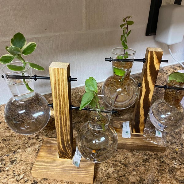 Plant Propagation Vase Gardening Planter Set Hydroponic Houseplant ...