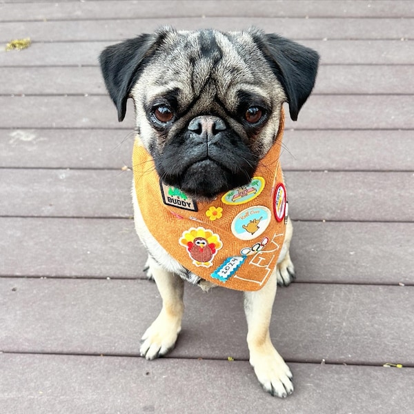 Adventure Buddy Patch for Dogs | Iron-on | Velcro - Etsy