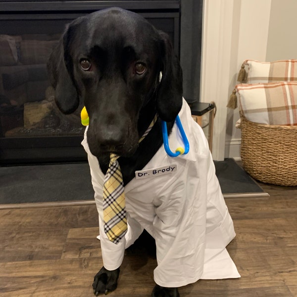Dog Doctor Lab Coat Costume, Doctor Lab Coat Dog Costume, Pet Doctor ...