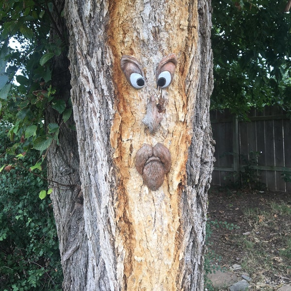The ORIGINAL & GENUINE Mr. Grumpy Stump Tree Face Gift for Dad Fun ...