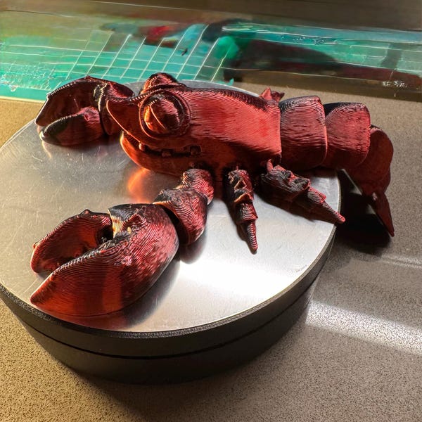 Flexi Print-in-place Fish STL File for 3D Printing Active - Etsy