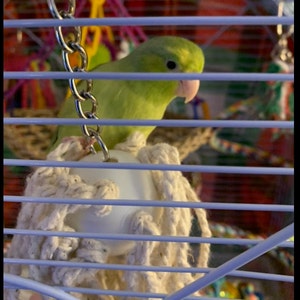 Macaw Ladder Large Bird Toy - Etsy