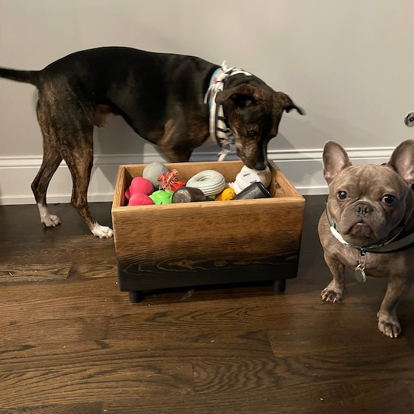 Dog Cat Toybox | Pet Toy Bin | Puppy Storage Supplies | Pet Storage ...