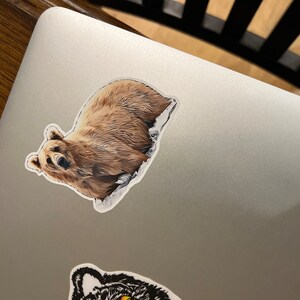 STC071 Bear 480 Otis Sticker, Brooks Falls Bear Sticker, Katmai ...