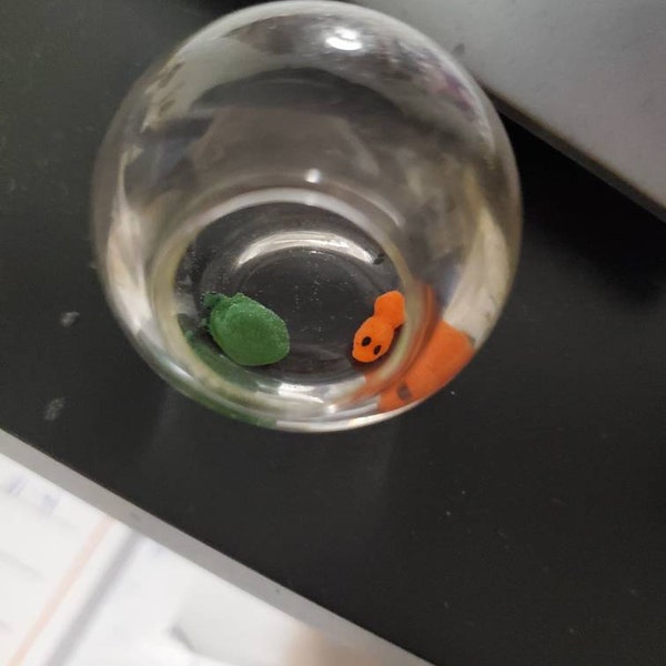 World’s Tiniest Fish/ Tiny Fish/ Mini Fish/ Micro Mini Fish/ Tiny ...