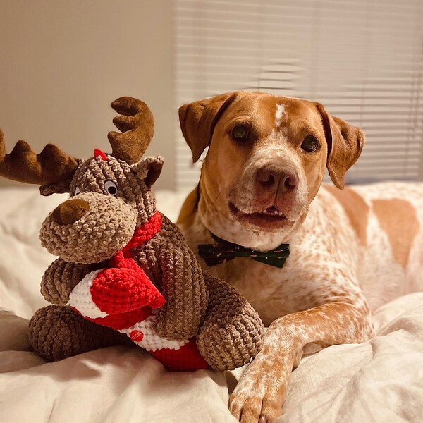 Christmas Plaid Dog Bow Tie / Dog Bow / Holiday Bow / Girl Dog / Boy ...