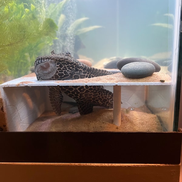 Aquarium/terrarium Corner Tunnel Fish Cave Fish Hide Reptile Hide 2 ...