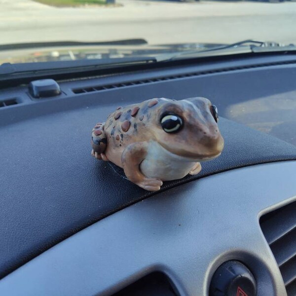 Handmade Polymer Clay Angry Screaming Black Desert Rain Frogs Figurine ...