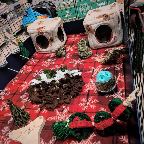 Guinea Pig Tunnel - Guinea Pig Accessories Colorful Guinea Pig Play ...