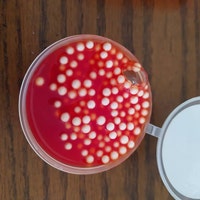 Frozen Yogurt Soft Serve Slime - Etsy Canada