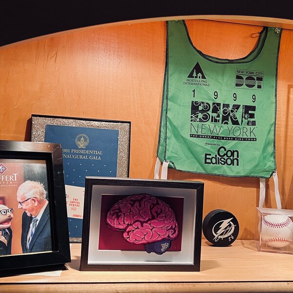 HOLOGRAPHIC Brain MRI/CT Vinyl Sticker | Anatomical Neuro Art - Etsy