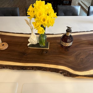 Black Walnut Shells, Squirrel Cut-organic Crafts, Art Projects, Jewelry ...