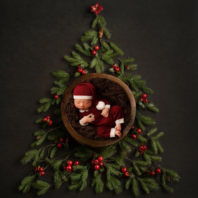 Digital Backdrop, Background Newborn Baby Girl Boy Dark Brown , Tree ...