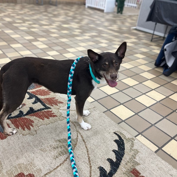 Braided Fleece Leash 3-in-1 – Perfect for Agility Starts - Etsy