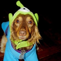 Alien Dog Costume, Toy Story Alien Dog Outfit, Halloween Dog Outfit ...