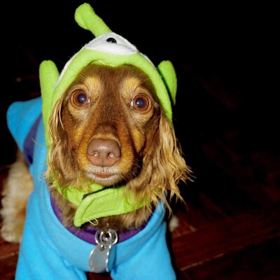 Alien Dog Costume, Toy Story Alien Dog Outfit, Halloween Dog Outfit ...