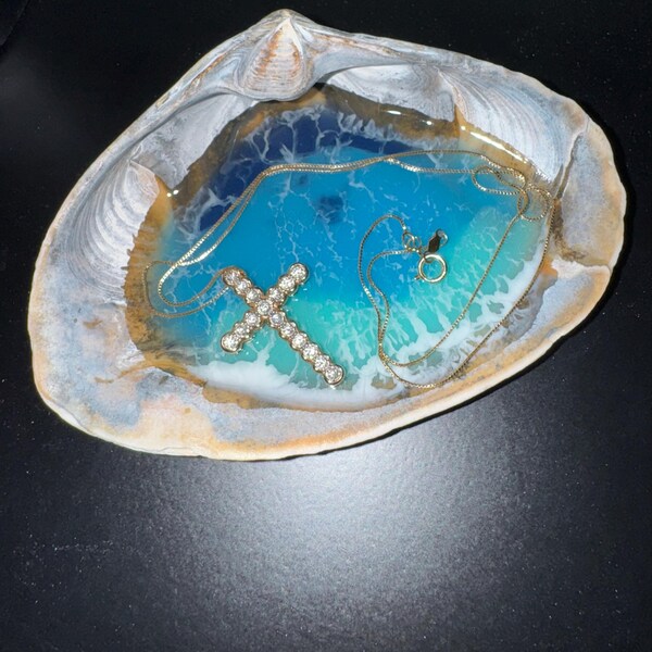 Pocket Hug Ocean Beachy Sea Creature Real Shell Friendship Gift Holiday ...