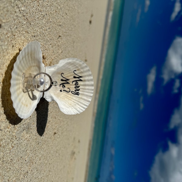 Proposal Seashell Ring Box/seashell Wedding Ring Box/shell Engagement ...