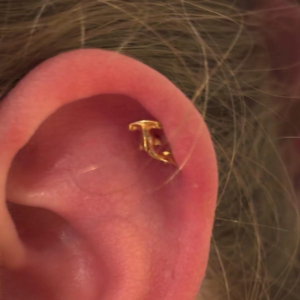 Dainty Sun Daith Ring, Hinged Clicker Hoop, 16ga 8mm or 10mm, Unisex ...