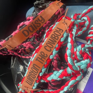 Sparkle Gambler Halter Horse Mule Tape Halter With Bronc Nose Band ...