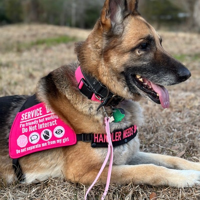 1 Patch, IGNORE ME, 8 Inches X 3 Inches, Sew On, Customizable, Custom ...