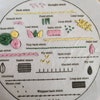 Stitch Along Embroidery Pattern / Digital Download Beginner Embroidery ...