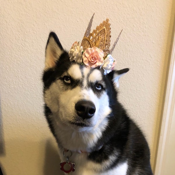 Princess Pet Birthday Crown Gold Lace Crown for Dogs and Cats Adeline ...