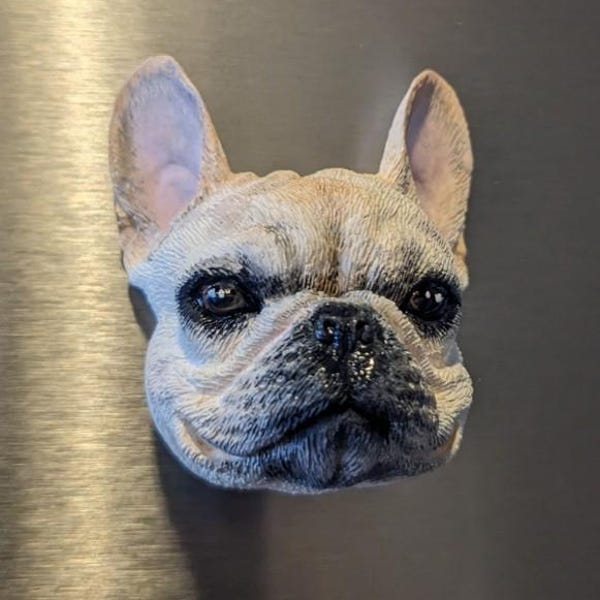 Special Gift for Her/him, Pet Memorial Gift, Custom Pet Portrait Aroma ...