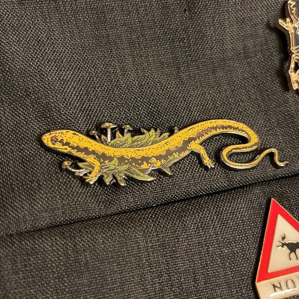 Salamander Lapel Pin / Artist Series Pin by Logan Schmitt / Lizard ...