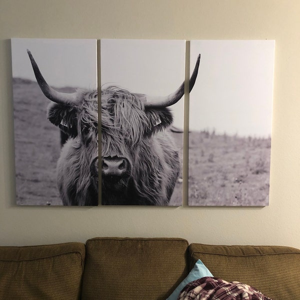Bull Poster Longhorn Bull Buffalo Poster Cow Poster Bull Canvas Print ...