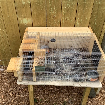 Original Deluxe Repeating Sparrow Trap full Copyright Directions ...