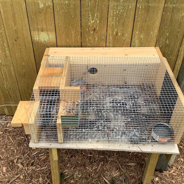 Original Deluxe Repeating Sparrow Trap (full Copyright Directions ...