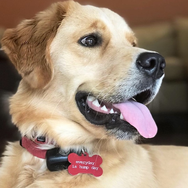 Personalized XL Metal Dog Bone Tag - Color Engraved for Large Dogs - Etsy