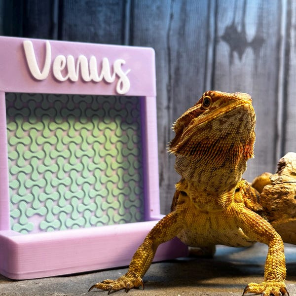 Reptile Bug Feeder Pastel Colors With Custom Name Bearded Dragon Food ...