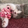 Cat Toys Crochet Cat Tosys Catnip Toys Silvervine Catnip Octopus Cat ...