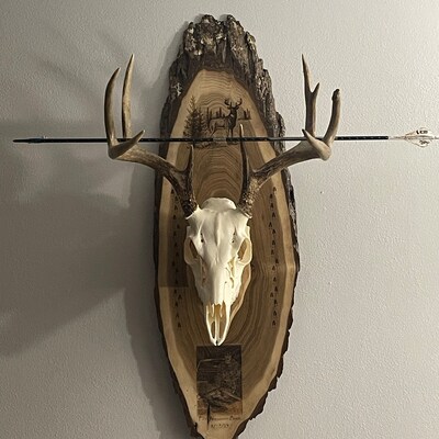 European Mount, Photo Engraved Hunting Plaque, Deer Skull Mount ...