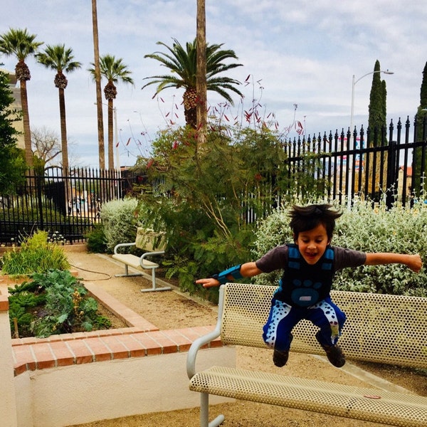 Wild Kratts Costume, Dress up Creature Pods - Etsy