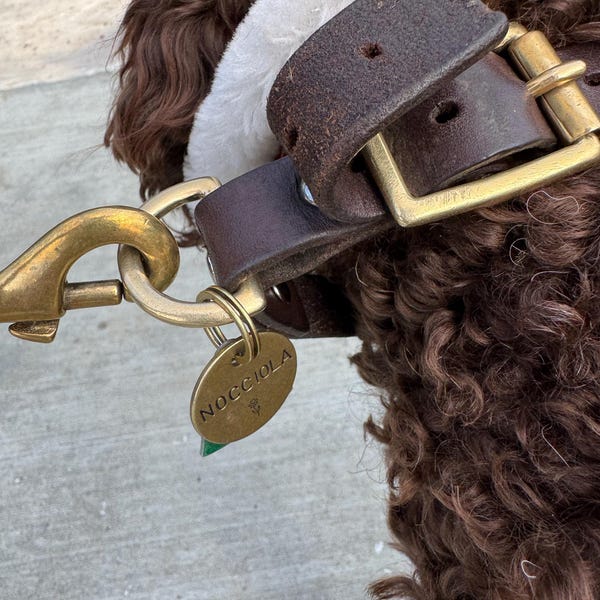 LINUS: Hand Stamped Personalized Custom Pet ID Tags for Dogs and Cats ...