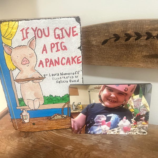 1 Garden Brick Book Cover Painted to Look Like Your Favorite Books for ...