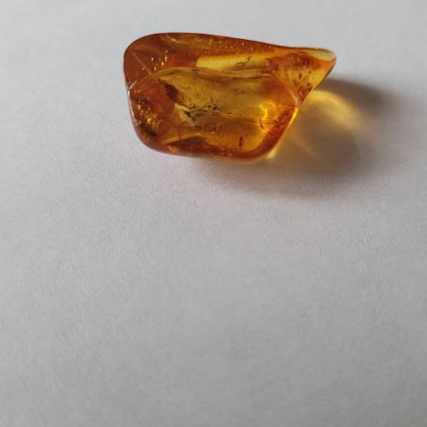 Baltic Amber Inclusion 8705 Nice Flying Midges Swarm Chironomidae in ...