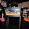 Miniverse Fishtank Lids or Plain Lids - Etsy