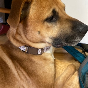 Dog Tag Cat Tag Pet Tag Aluminum Bar Pet ID Tag Hand | Etsy