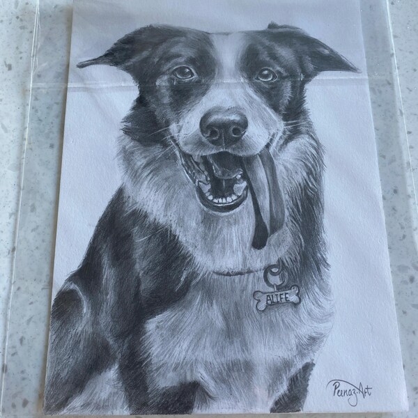 Pet Portrait Drawing/charcoal Pet Drawing/custom Portrait/charcoal Dog ...