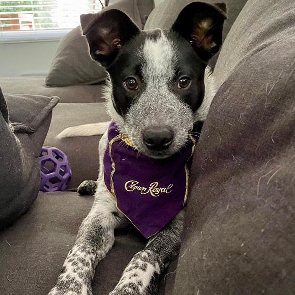 LOW & SLOW Decal | JDM Stickers for Windows Car Laptop Skateboard | Car ...