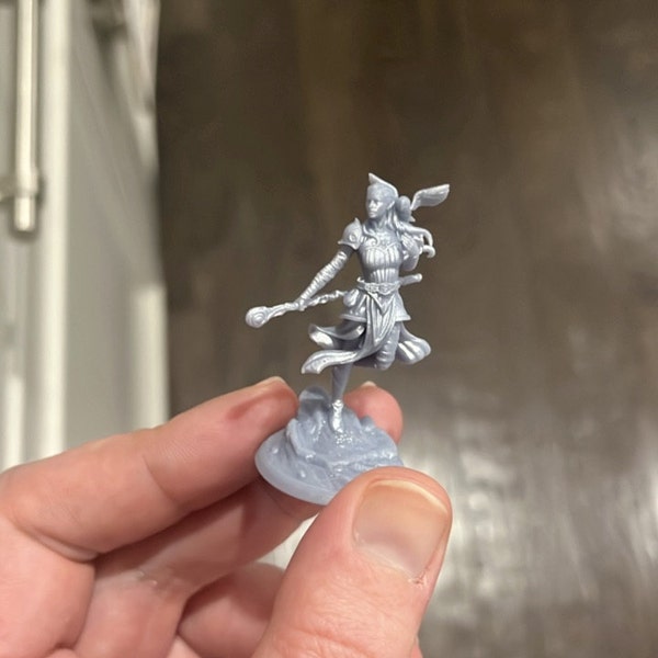Elf Cleric Female With Bird - Etsy