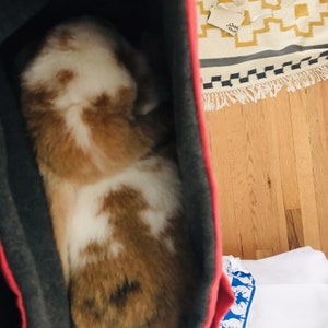 Luxury Small Pet Sling With Plush Faux Fur, Bunny Sling, Pet Travel ...