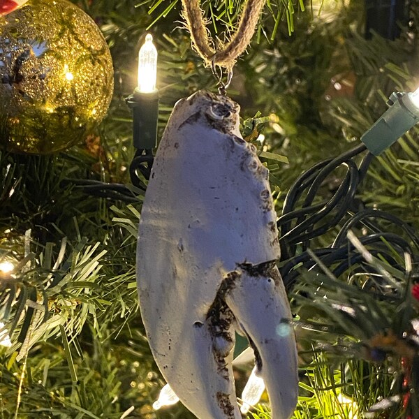 Barnacle Wall Relief Maine Gifts, Barnacle Gift, One of a Kind Art ...