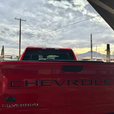 Fits 2022 2023 Toyota GR86 Precut Rear Quarter Window Animal Cow and ...